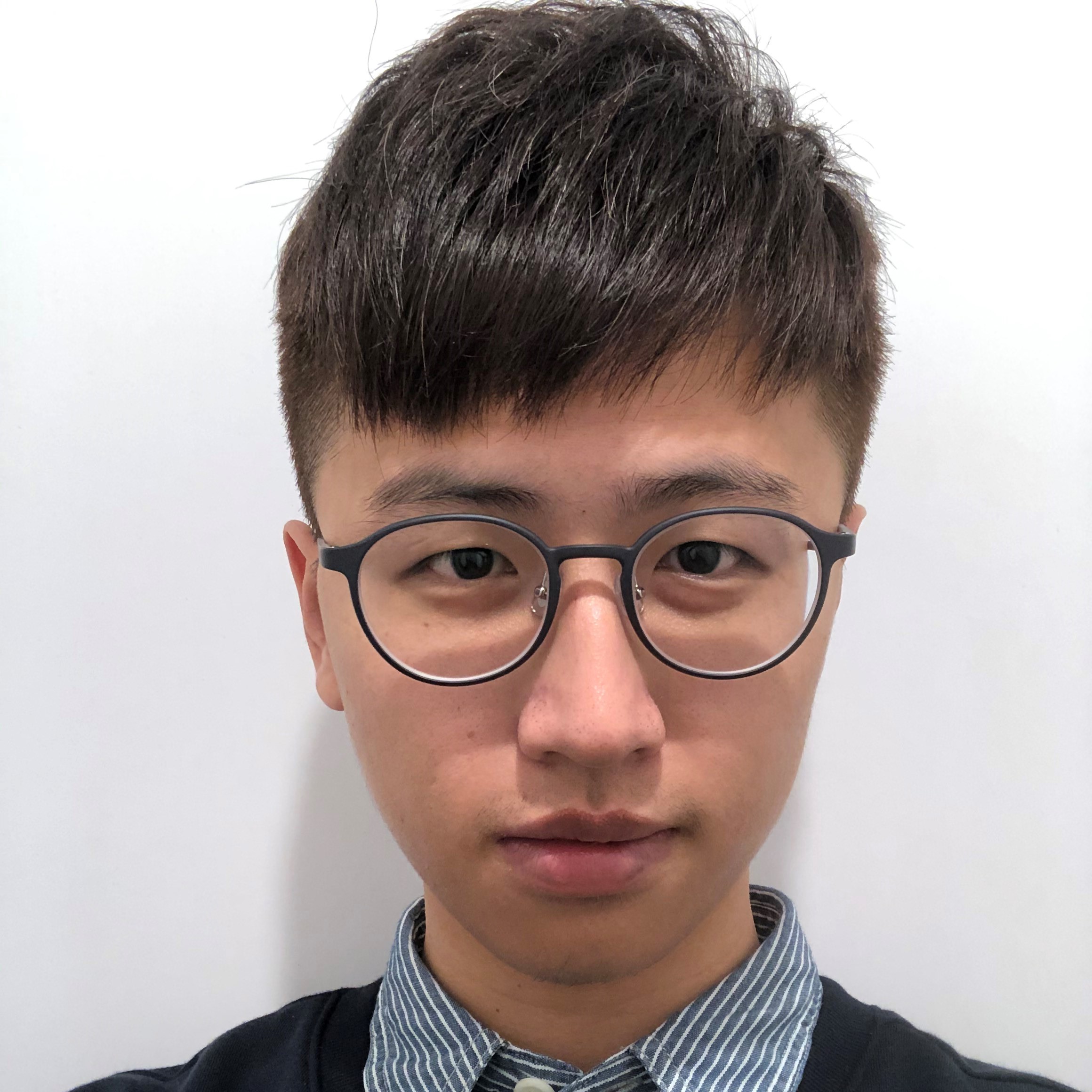 Machine Vision and Learning Lab